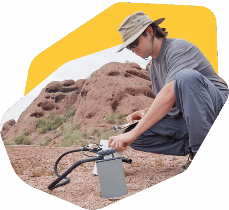 Undergraduate degrees - Rob Walton School of Conservation Futures